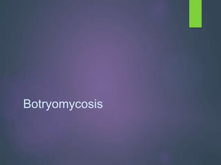 Bacterial infections of oral cavity | PPTX