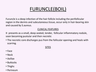 Bacterial Infections of the Skin: Clinical, Diagnostic, and Therapeutic ...