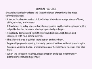Bacterial Infections of the Skin: Clinical, Diagnostic, and Therapeutic ...