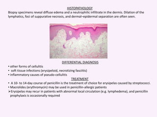 Bacterial Infections of the Skin: Clinical, Diagnostic, and Therapeutic ...