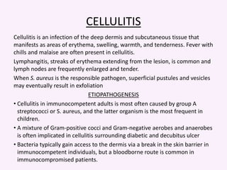 Bacterial Infections of the Skin: Clinical, Diagnostic, and Therapeutic ...