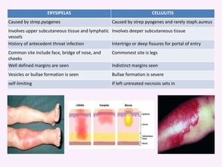 Bacterial Infections of the Skin: Clinical, Diagnostic, and Therapeutic ...