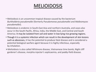 Bacterial Infections of the Skin: Clinical, Diagnostic, and Therapeutic ...