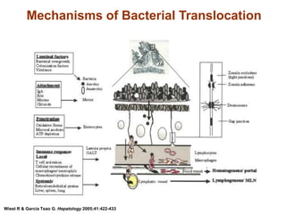 Bacterial infections in cirrhosis | PPTX