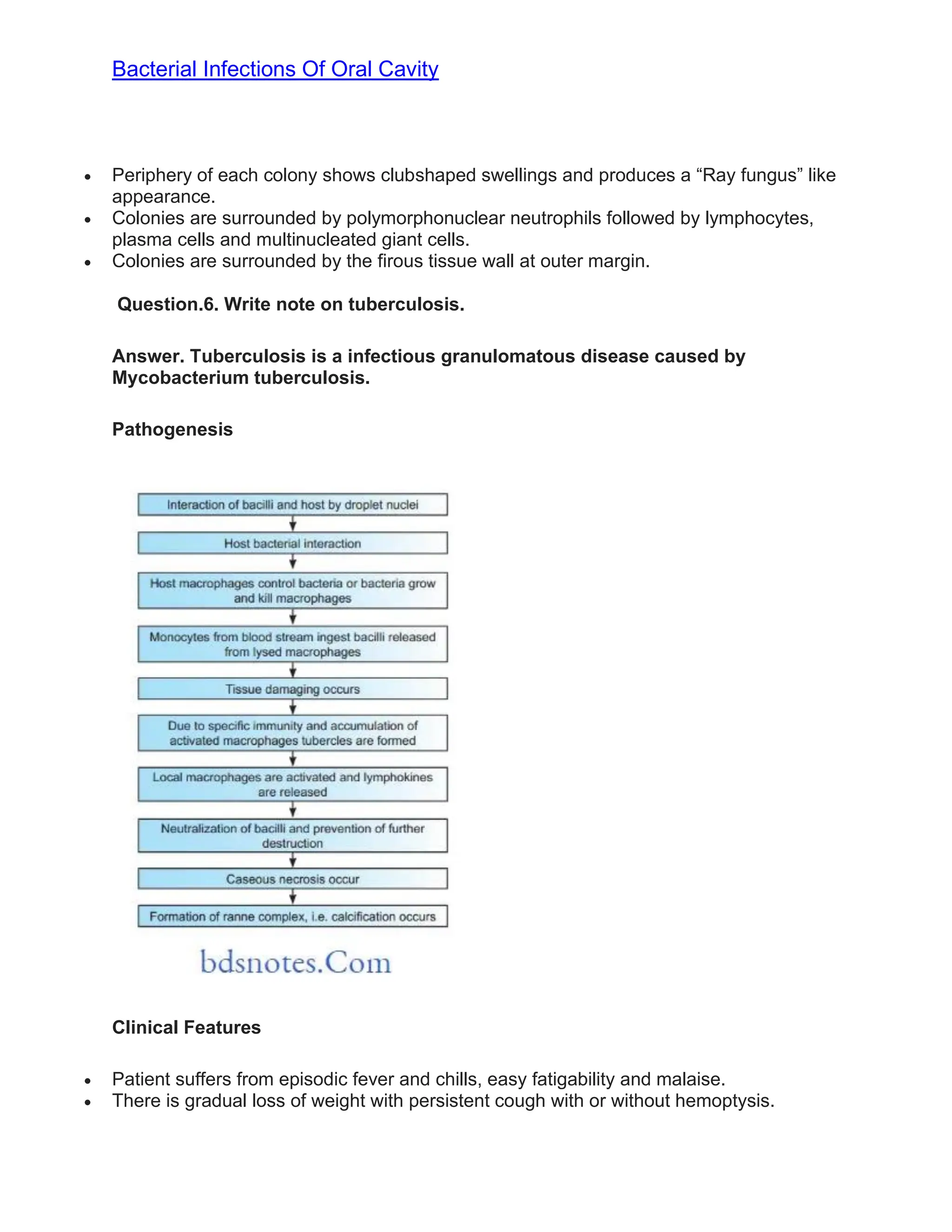 Bacterial Infections of the Oral Mucosa | PDF