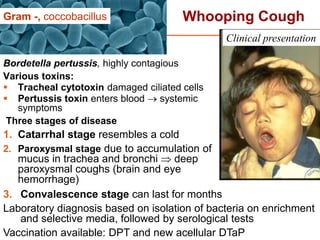 Bacterial infections of respiratory tract_.ppt