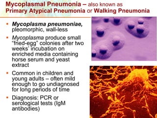 Bacterial infections of respiratory tract_.ppt