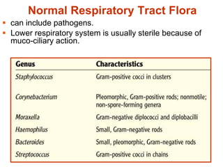 Bacterial infections of respiratory tract_.ppt