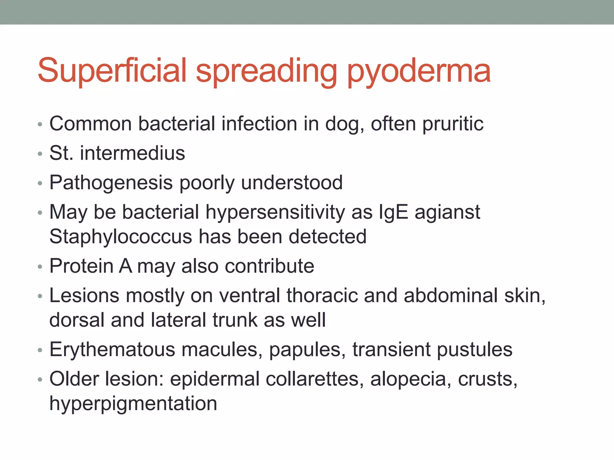 Pathology of bacterial infections of skin in animals | PPTX