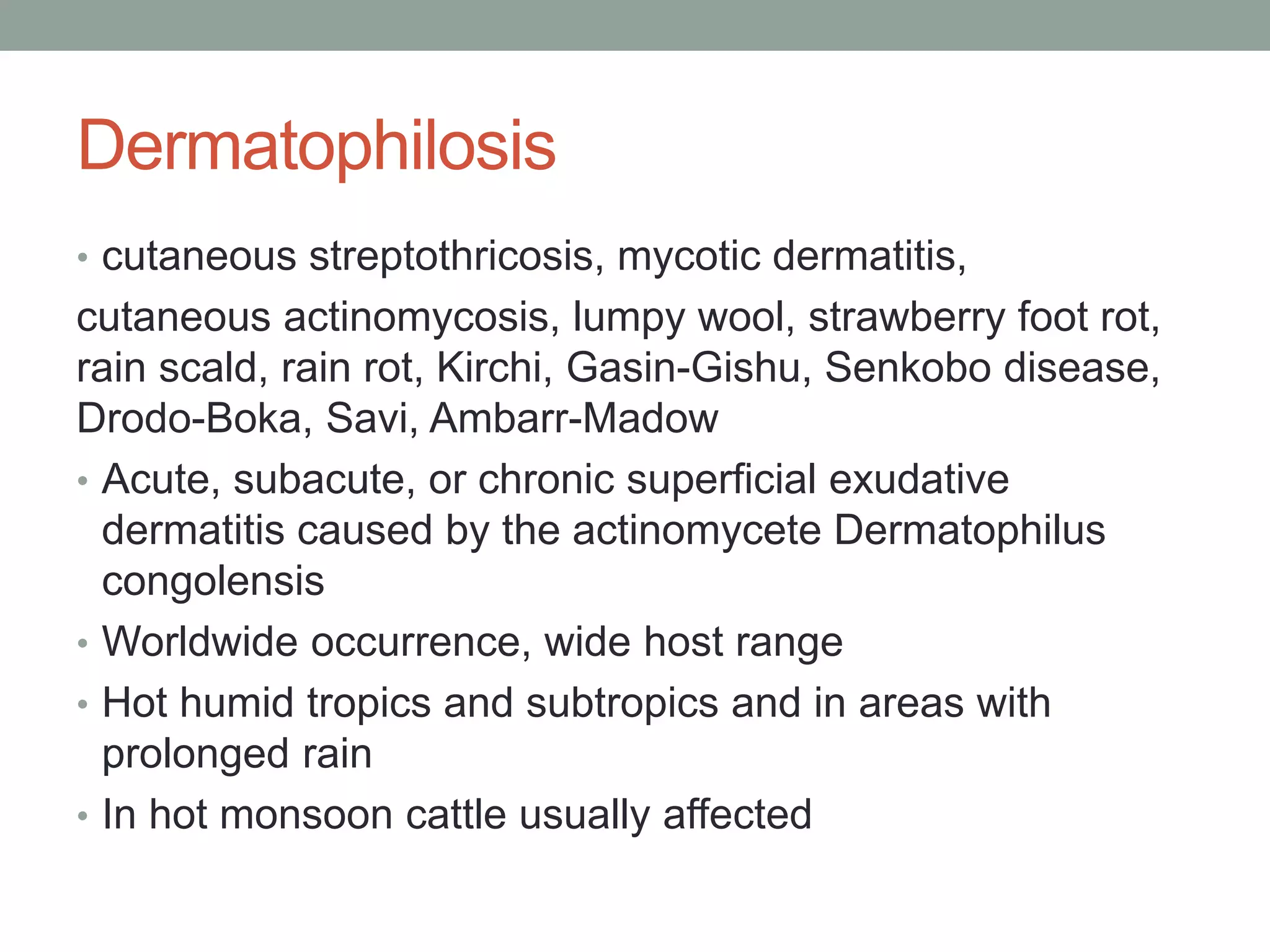 Pathology of bacterial infections of skin in animals | PPTX