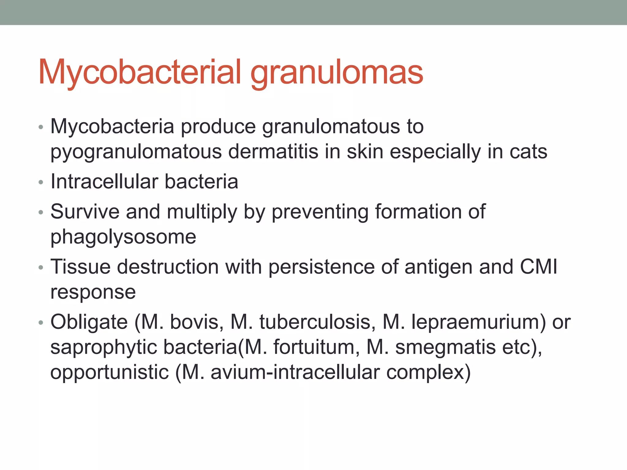 Pathology of bacterial infections of skin in animals | PPTX