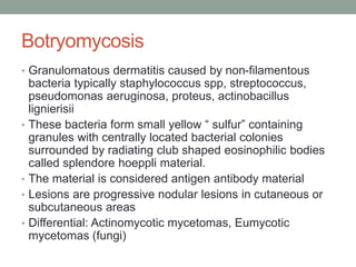 Pathology of bacterial infections of skin in animals | PPT