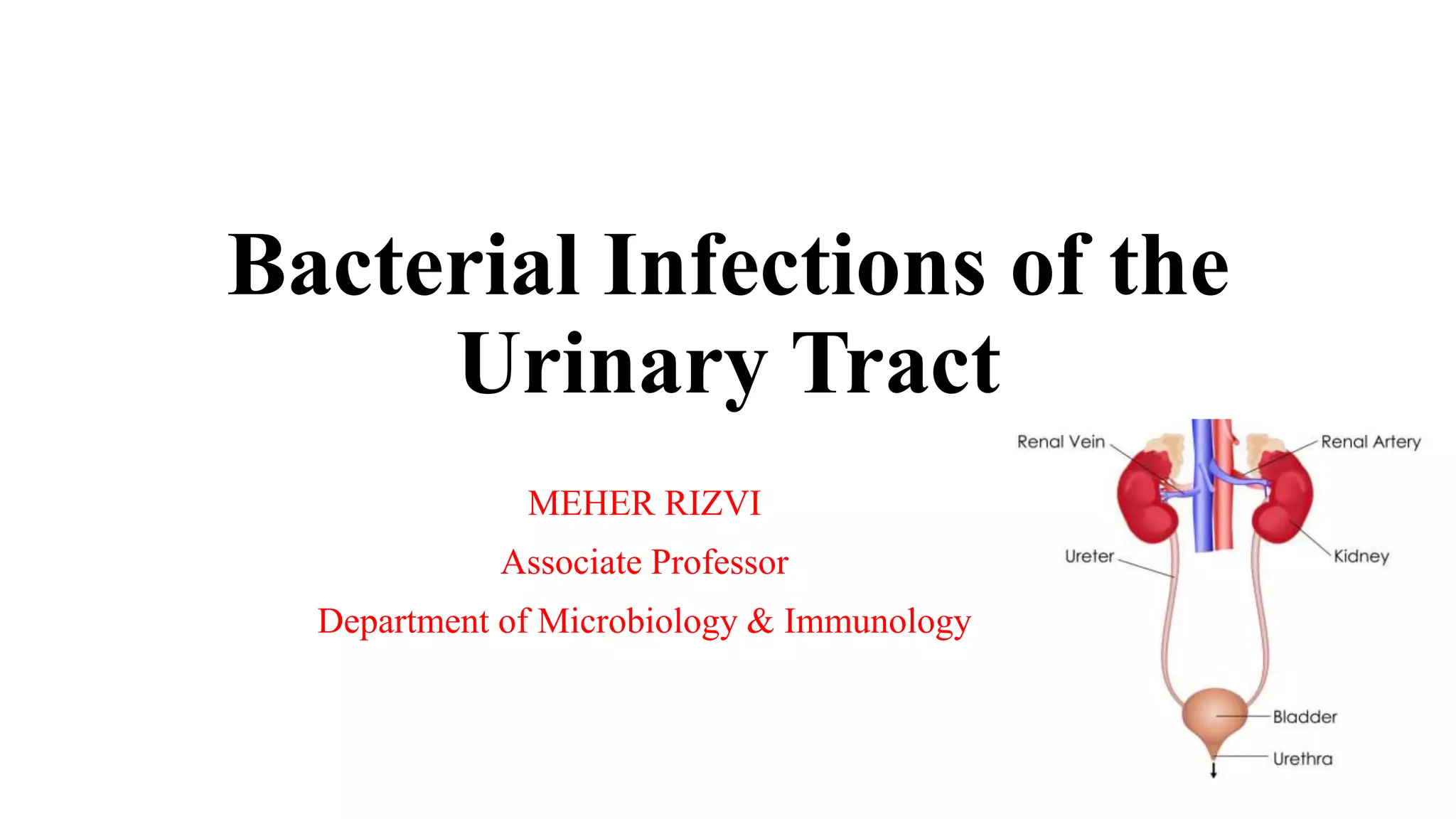 Bacterial infections of the urinary tract | PPTX