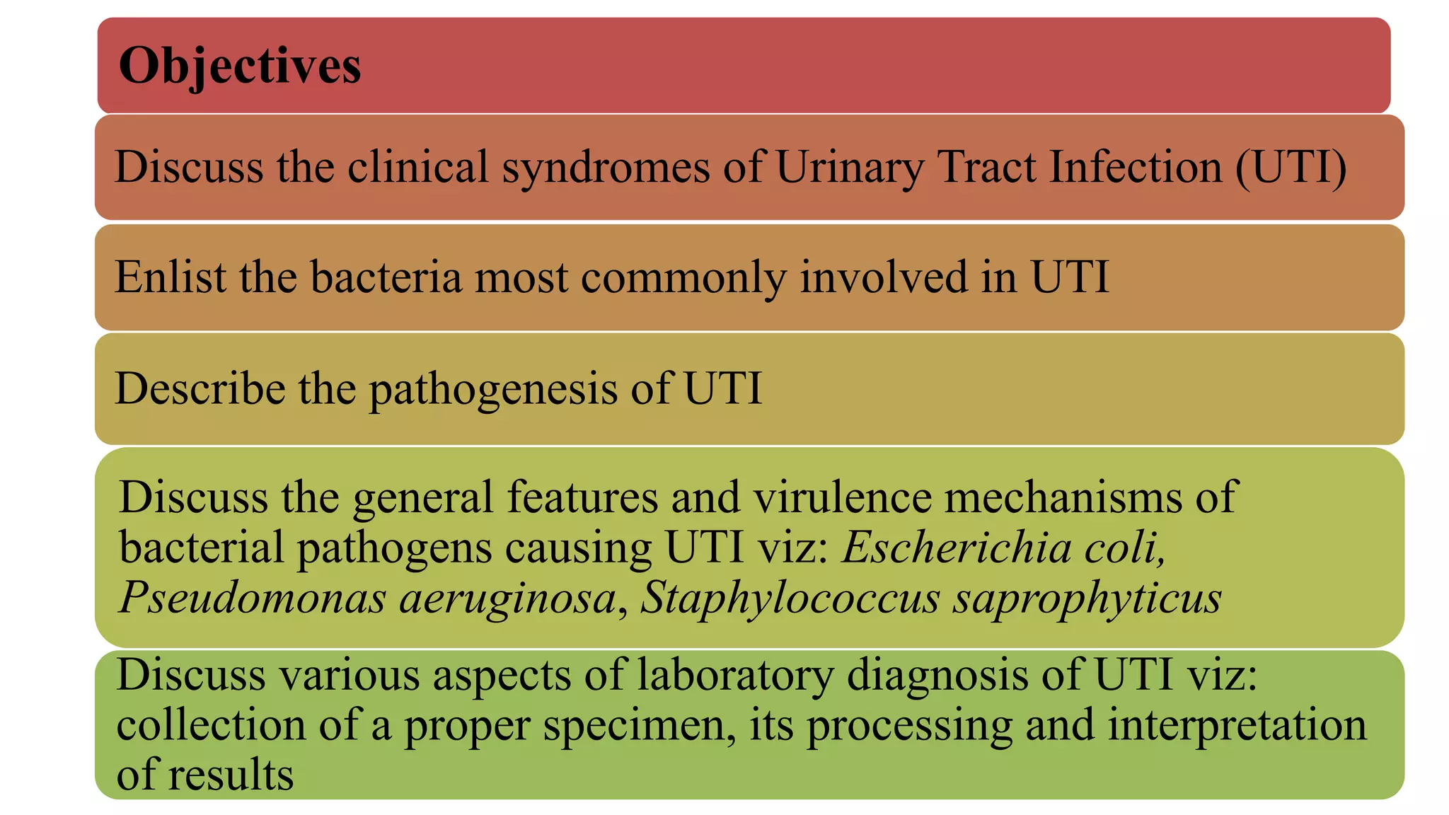 Bacterial infections of the urinary tract | PPTX