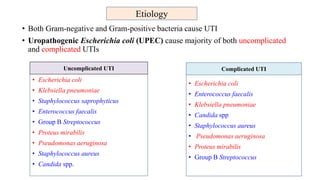 Bacterial infections of the urinary tract | PPTX