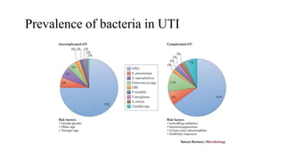 Bacterial infections of the urinary tract | PPTX