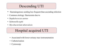 Bacterial infections of the urinary tract | PPTX
