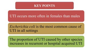Bacterial infections of the urinary tract | PPTX