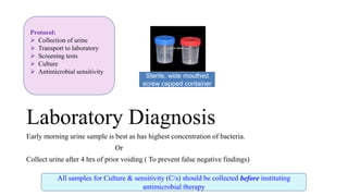 Bacterial infections of the urinary tract | PPTX