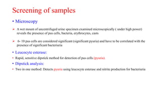 Bacterial infections of the urinary tract | PPTX