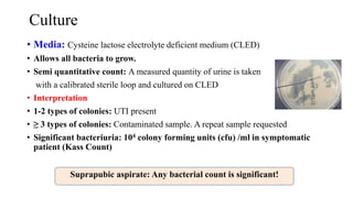 Bacterial infections of the urinary tract | PPTX
