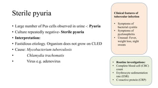 Bacterial infections of the urinary tract | PPTX