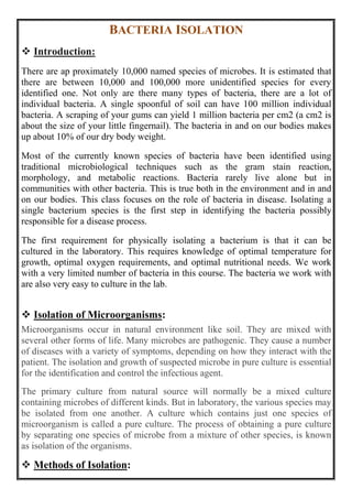 Bacterial isolation | PDF