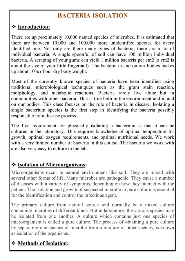 Bacterial isolation | PDF