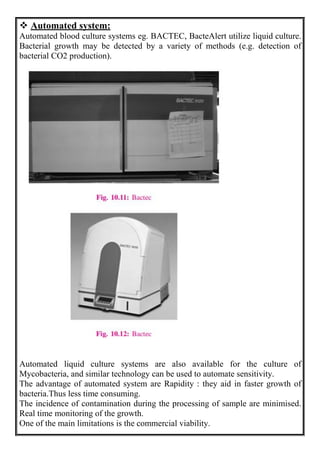 Bacterial isolation | PDF