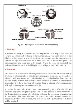 Bacterial isolation | PDF