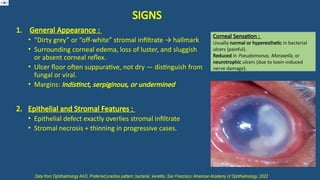 Comprehensive Overview of Bacterial Keratitis: Epidemiology ...
