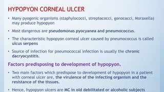 BACTERIAL KERATITIS POWERPOINT PRESENTATION | PPTX