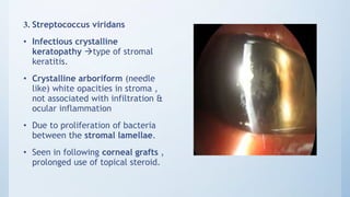 BACTERIAL KERATITIS POWERPOINT PRESENTATION | PPTX