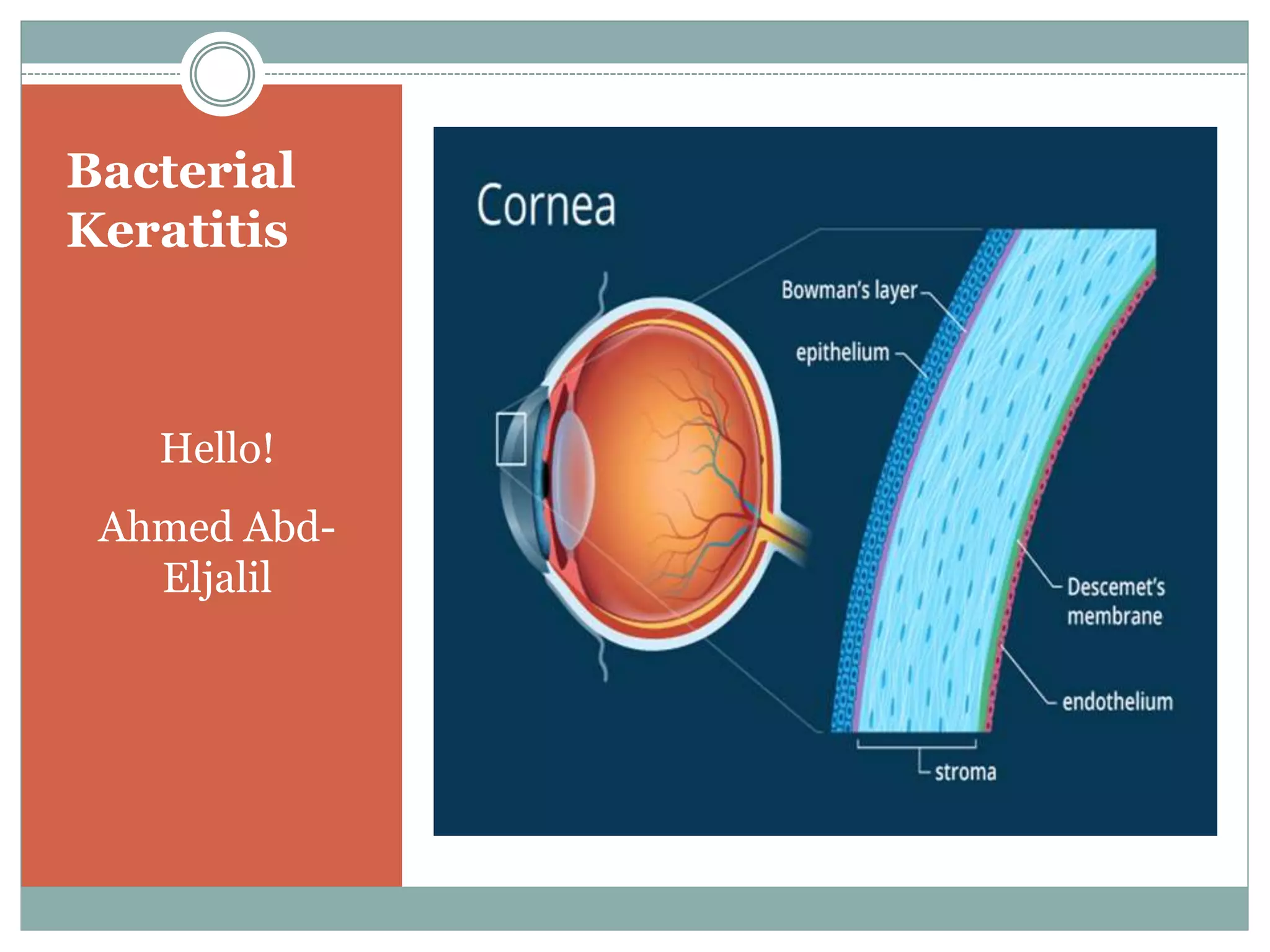 Bacterial keratitis | PPTX | Eye and Vision Conditions | Diseases and ...