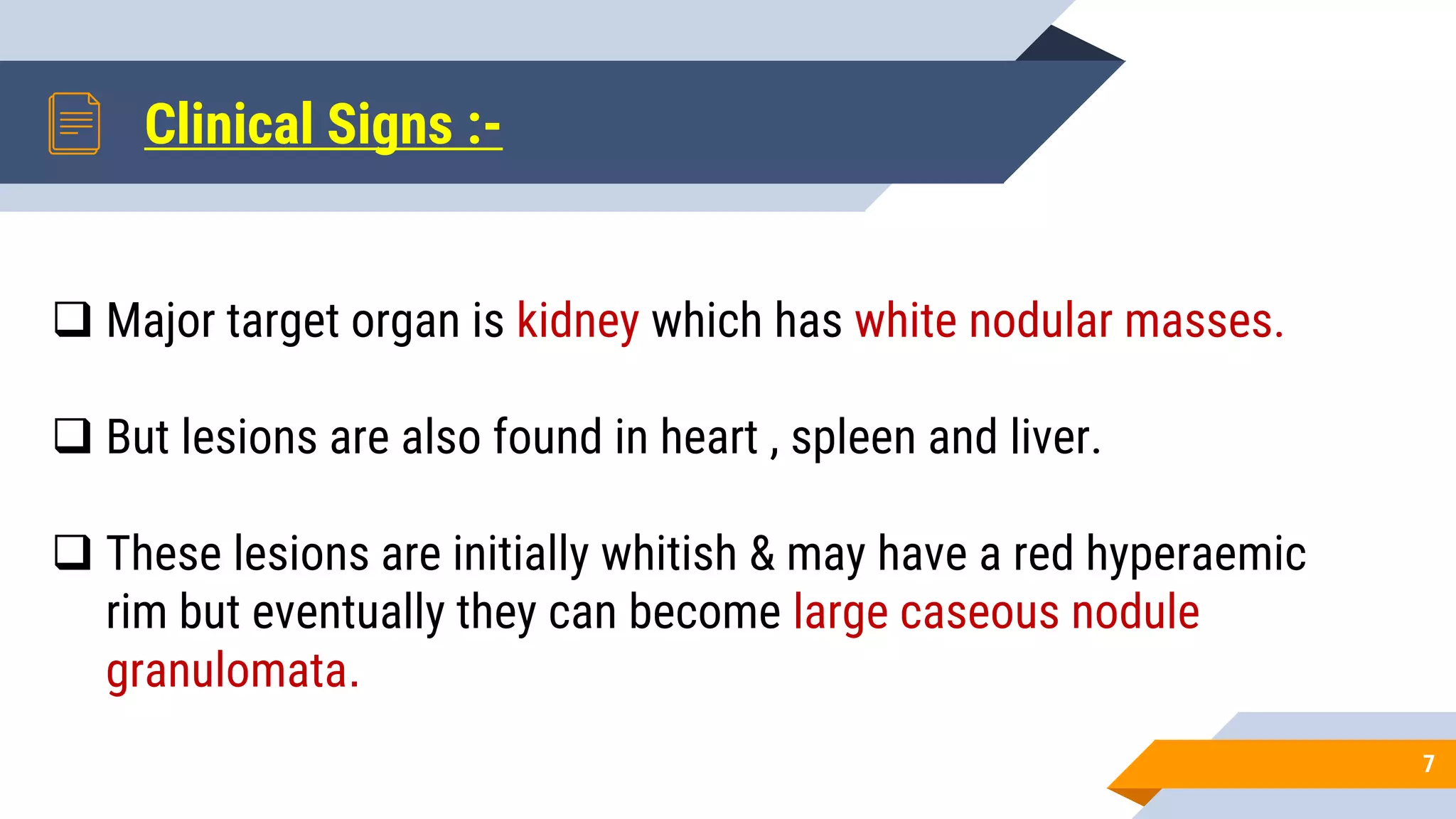 Bacterial Kidney Disease.pptx