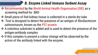 Bacterial Kidney Disease.pptx