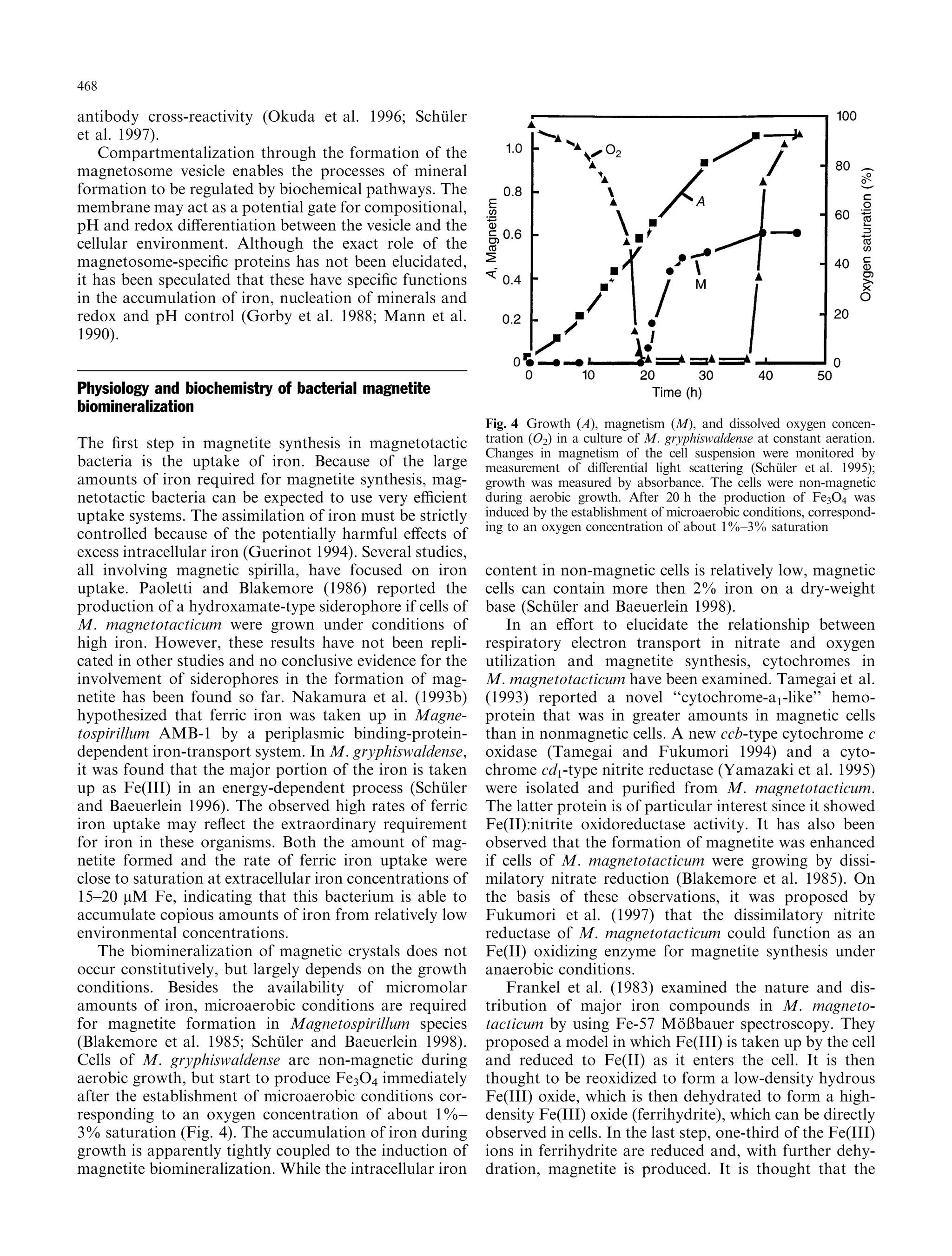 Bacterial magnetosomes. microbiology, biomineralization and ...