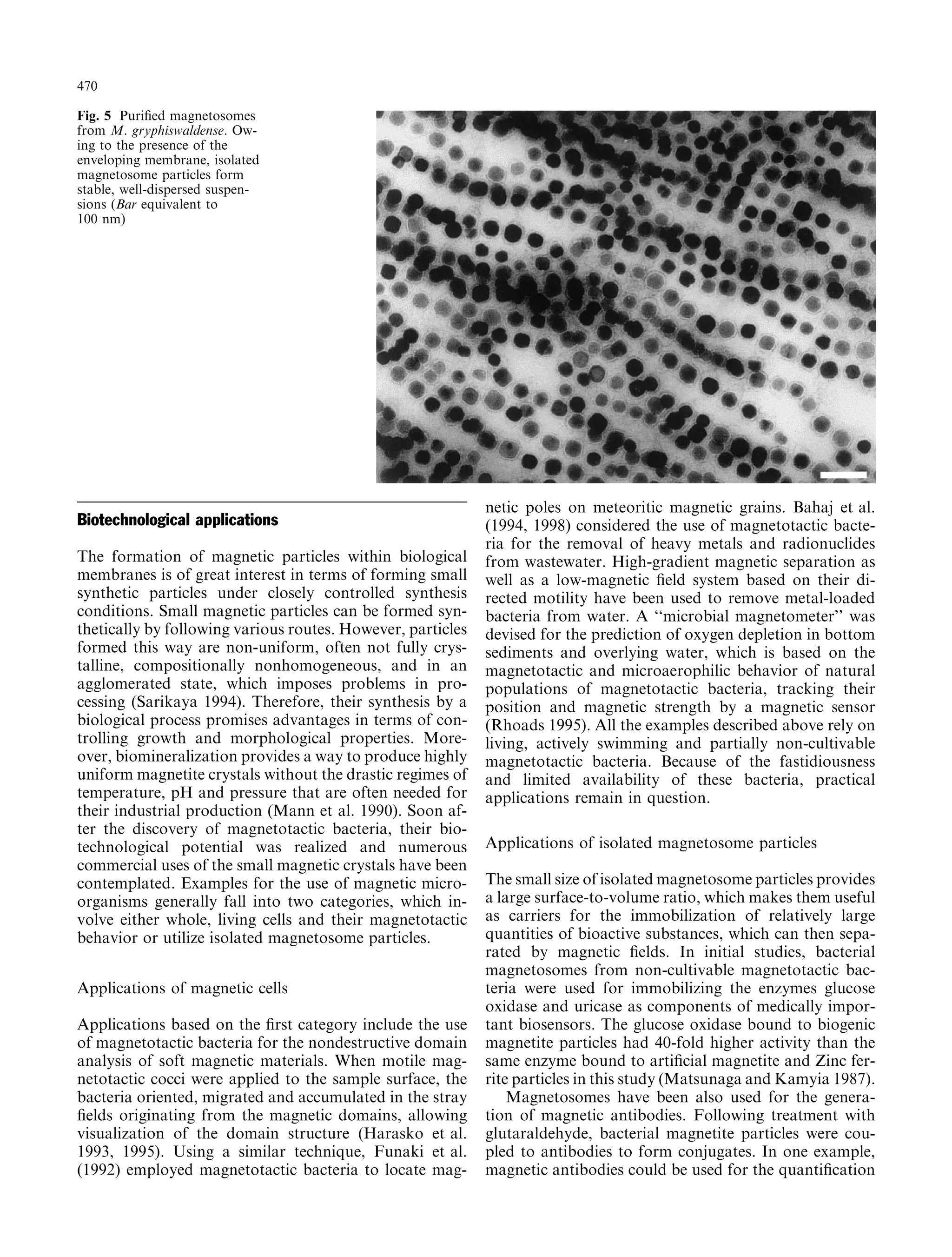 Bacterial magnetosomes. microbiology, biomineralization and ...