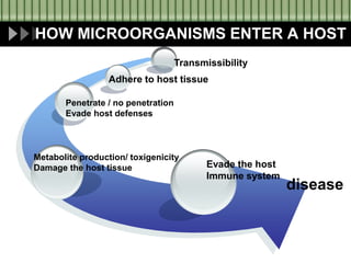 Bacterial mechanism 5 | PPTX