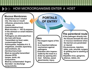 Bacterial mechanism 5 | PPTX