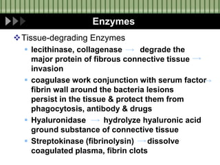 Bacterial mechanism 5 | PPTX