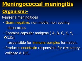 Bacterial Meningitis | PPT