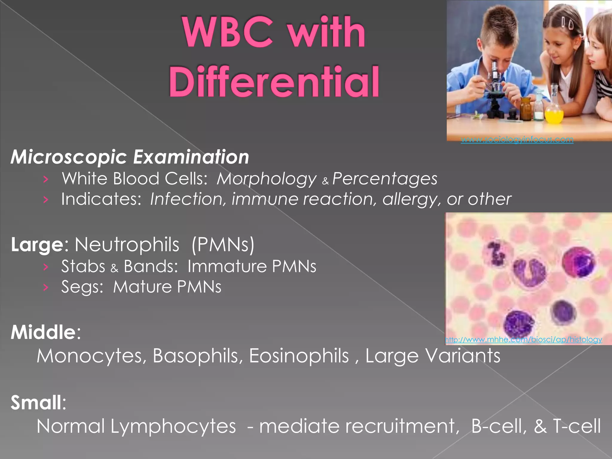 Bacterial meningitis | PPTX