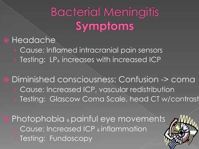 Bacterial meningitis | PPT