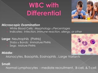 Bacterial meningitis | PPTX
