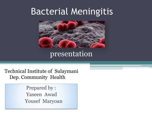 Bacterial meningitis | PPT