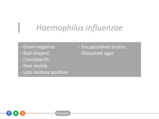 Bacterial meningitis | PPT