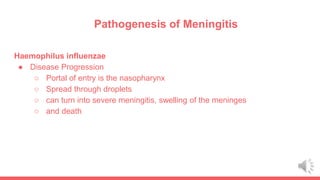 Bacterial meningitis | PPT