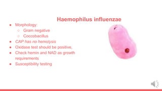 Bacterial meningitis | PPT