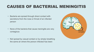 Bacterial Meningitis.pptx